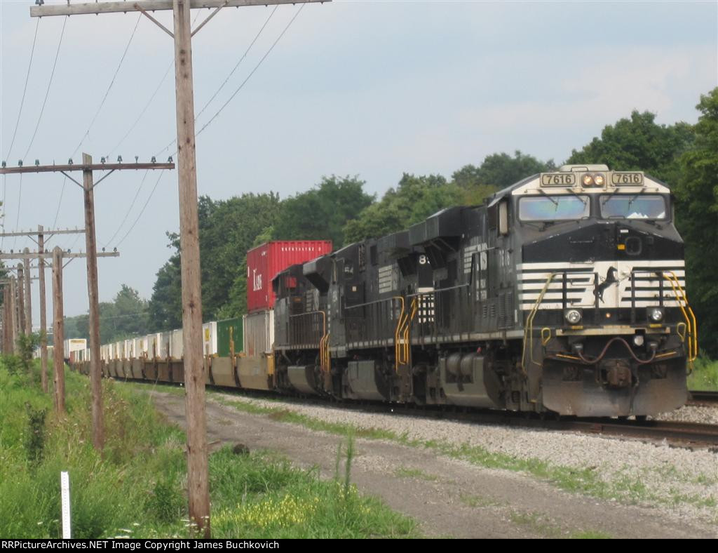 NS 7616, NS 8954, and NS 2649